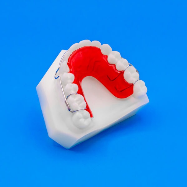 Soldered Labial Bow - Specialty Appliances